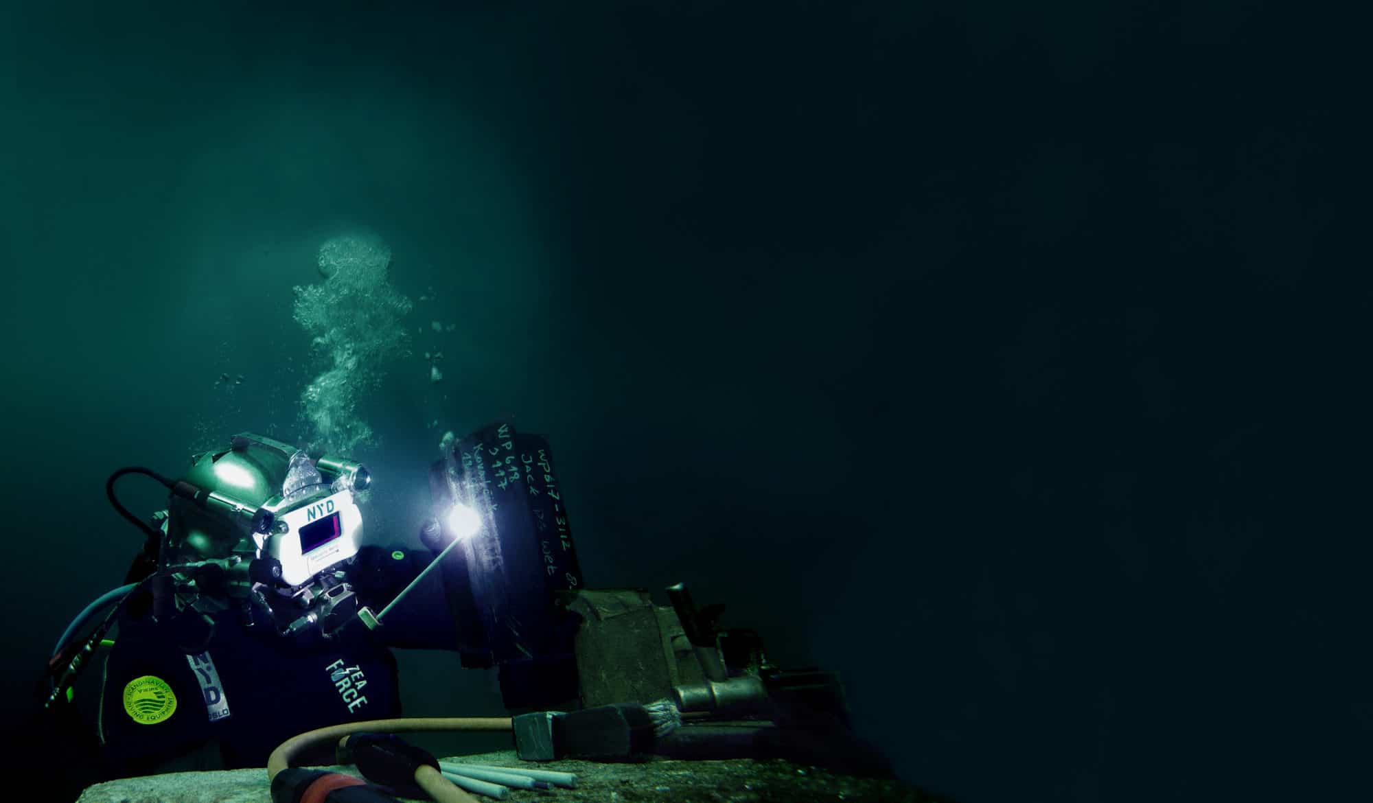 About the profession | NYD